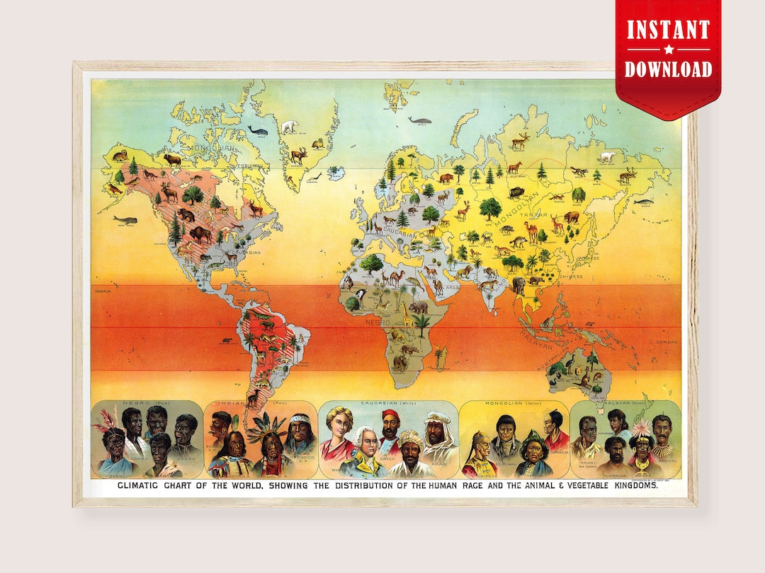Climatic Map of the World Digital Poster - Human Race Map, Animal ...