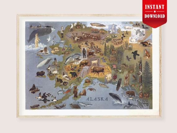 Alaska Wildlife Map Print Digital Pictorial Animal Alaska - Etsy