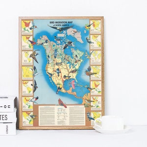Bird Map of North America Download - Birds Wall Map, Vintage Map of ...