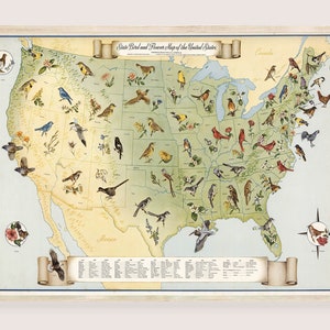 Bird Map of North America Download - Birds Wall Map, Vintage Map of ...