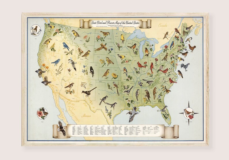 Bird Map of North America Download Birds Wall Map, Vintage Map of North ...