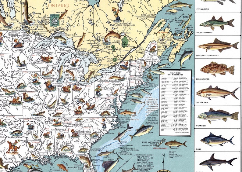 Big Game Fish Map Download Fish Map of the US Big Game Poster - Etsy