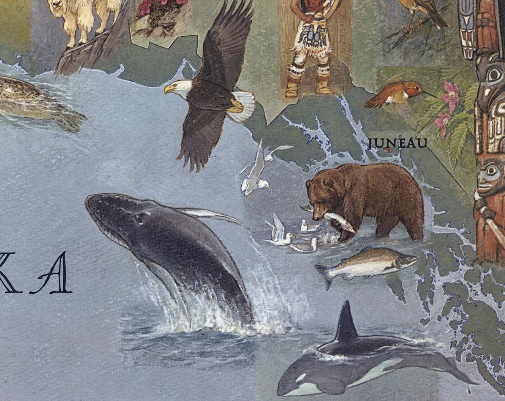 Alaska Wildlife Map Print Digital - Pictorial Animal Alaska Map ...