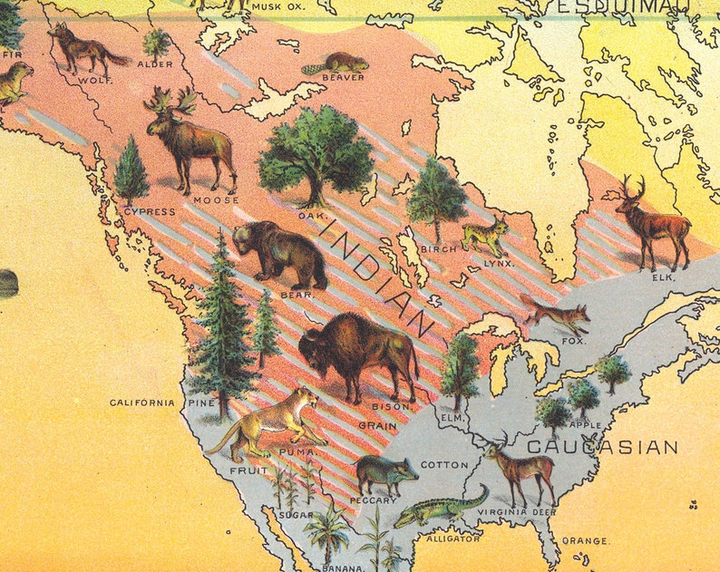 Climatic Map of the World Digital Poster - Human Race Map, Animal ...