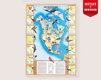 Bird Migration Map of North America, Vintage 1960 Rand Mcnally ...