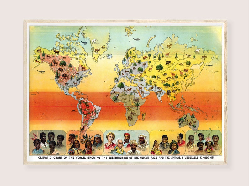 Climatic Map of the World Digital Poster - Human Race Map, Animal ...