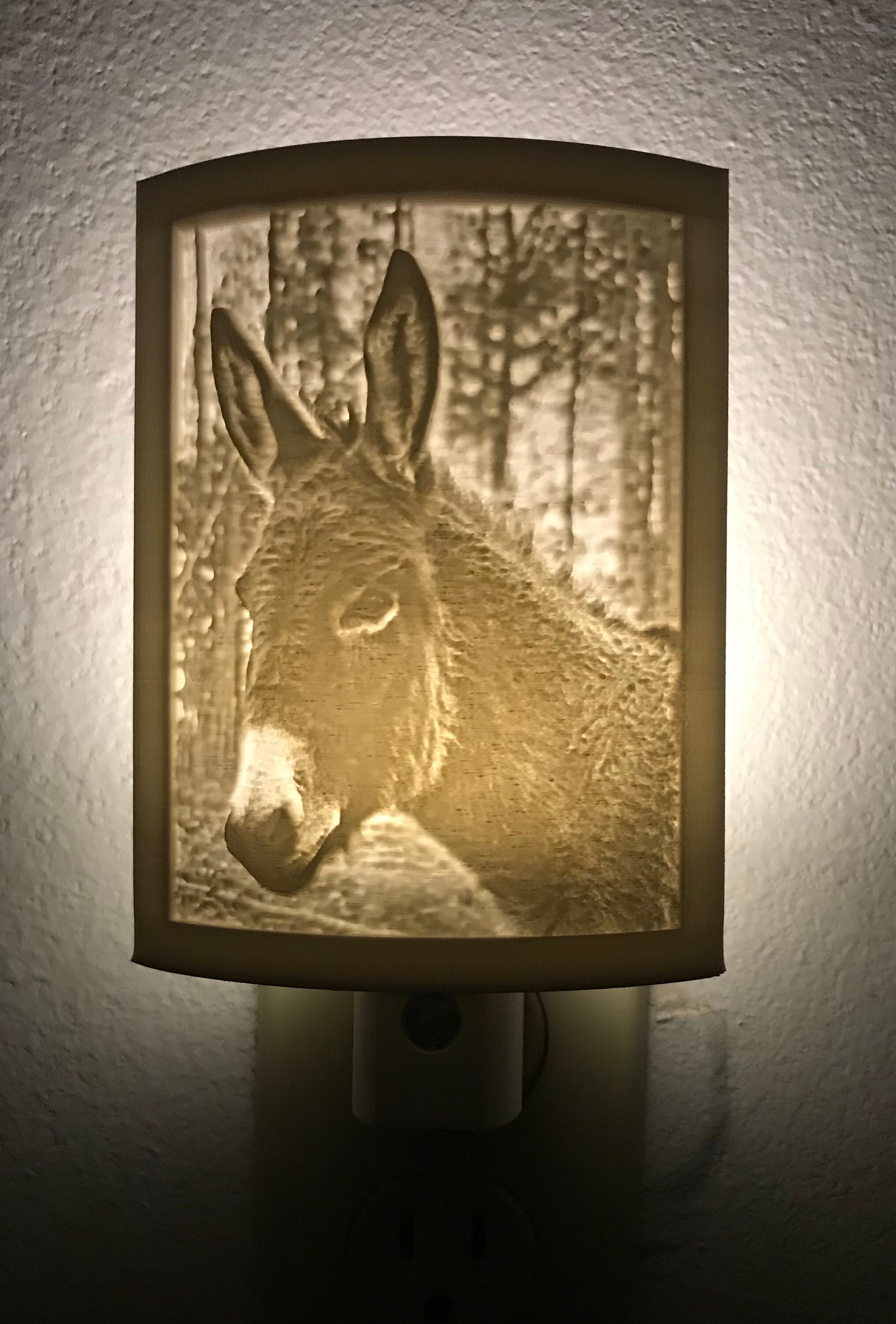 Custom Lithophane Night Light - A Unique Gift for ALL! Small Lampshade ...