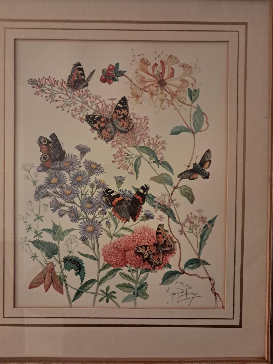 Framed Marjorie Blamey Limited Edition Plate / Print Butterflies in ...