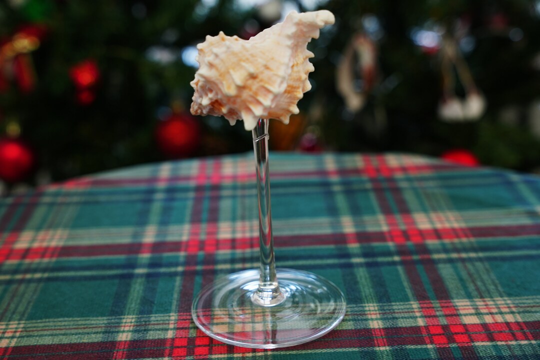 Handcrafted Conch Shell Wine Glasses: Ideal for Beach Weddings and ...