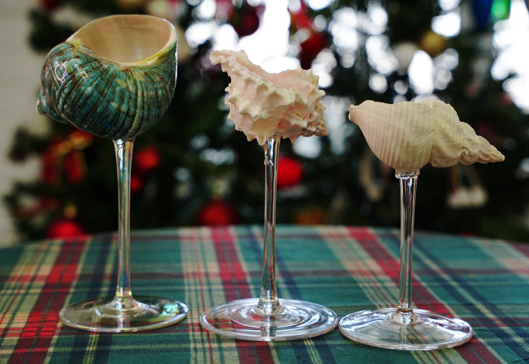 Handcrafted Conch Shell Wine Glasses: Ideal for Beach Weddings and ...