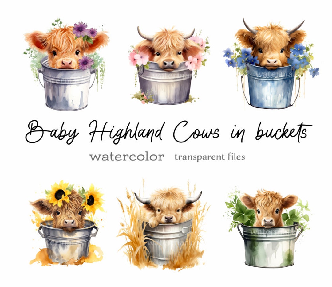 Watercolor Baby Highland Cow in Flower Buckets Clipart Bundle Farmhouse ...