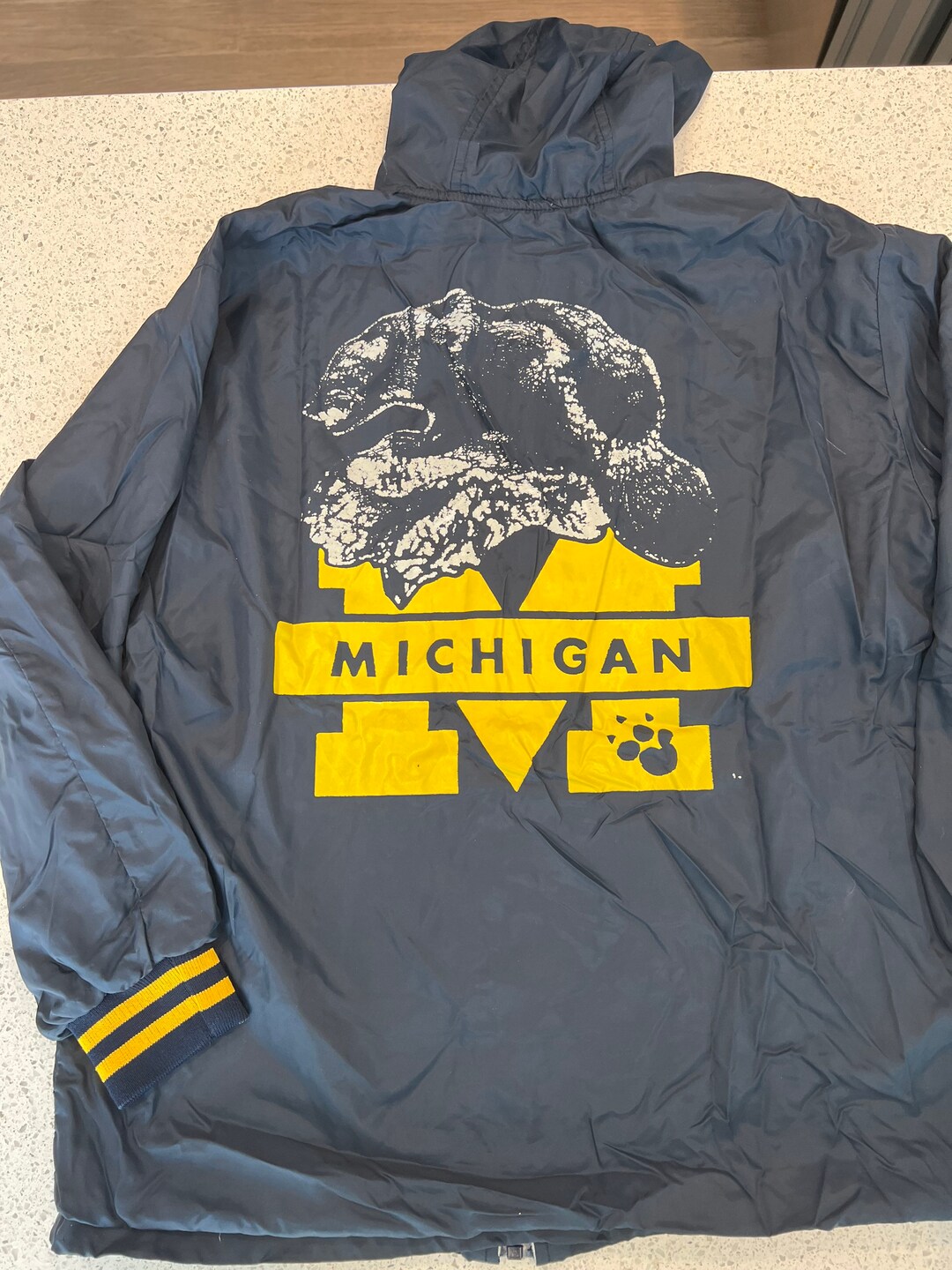Vintage Michigan Wolverines Jacket - Etsy