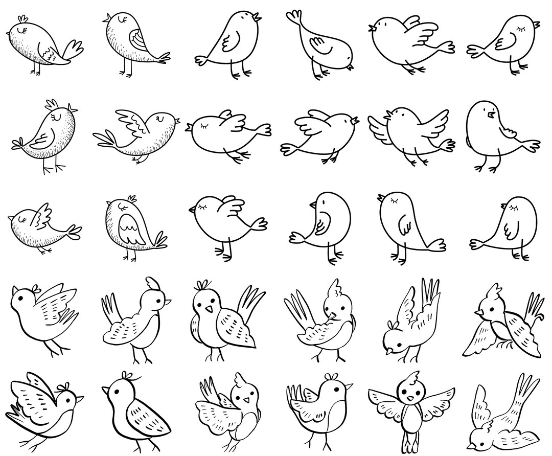 Birds SVG Cut Files, Floral Decor (digital Download) - Etsy Australia