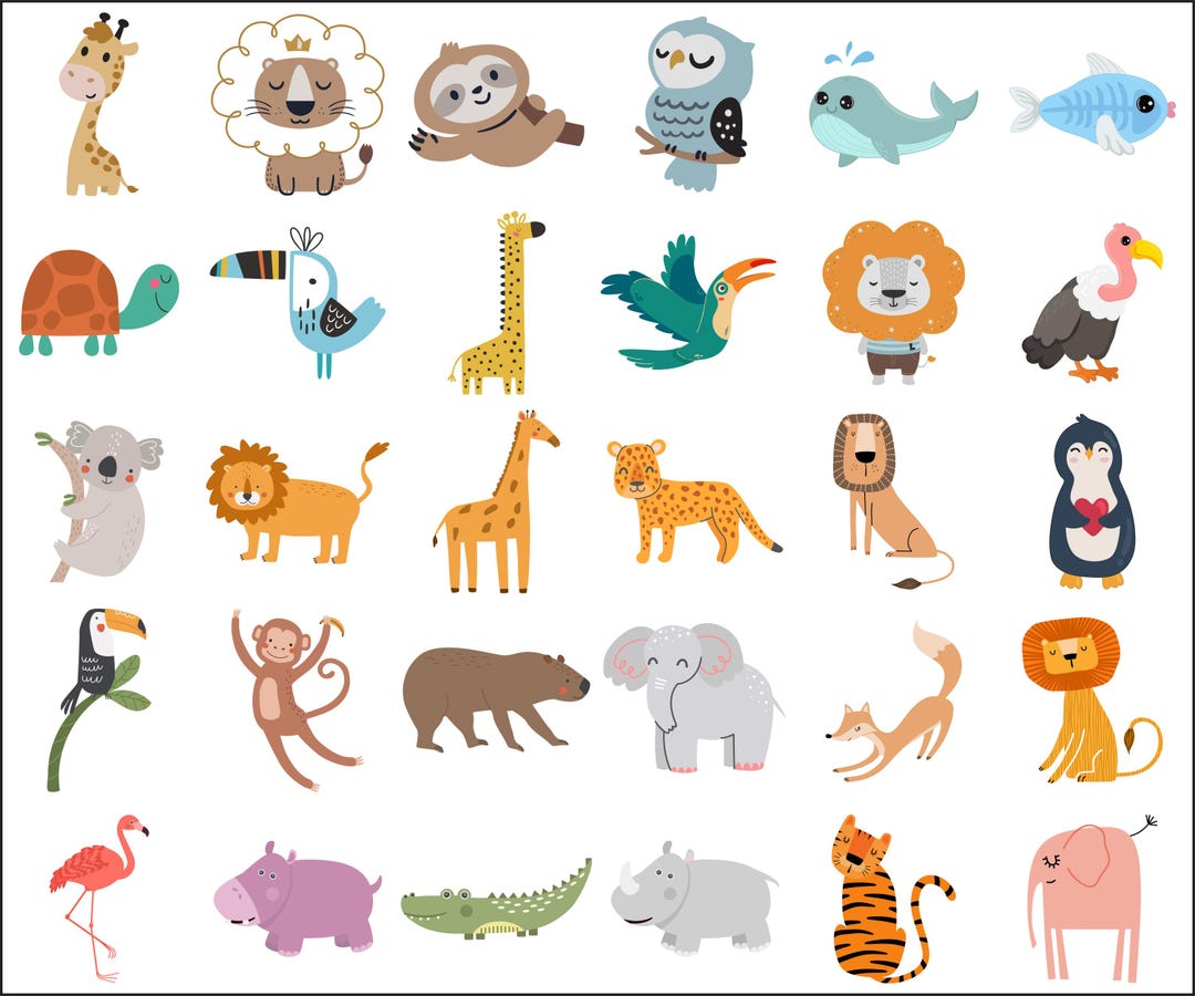 Safari Animal Clipart: Jungle Animals SVG & PNG (digital Download ...