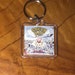 Foo Fighters the Colour and the Shape CD Album Cover Keychain - Etsy