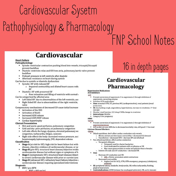 Cardiovascular Pathophysiology/pharmacology/fnp School Notes - Etsy