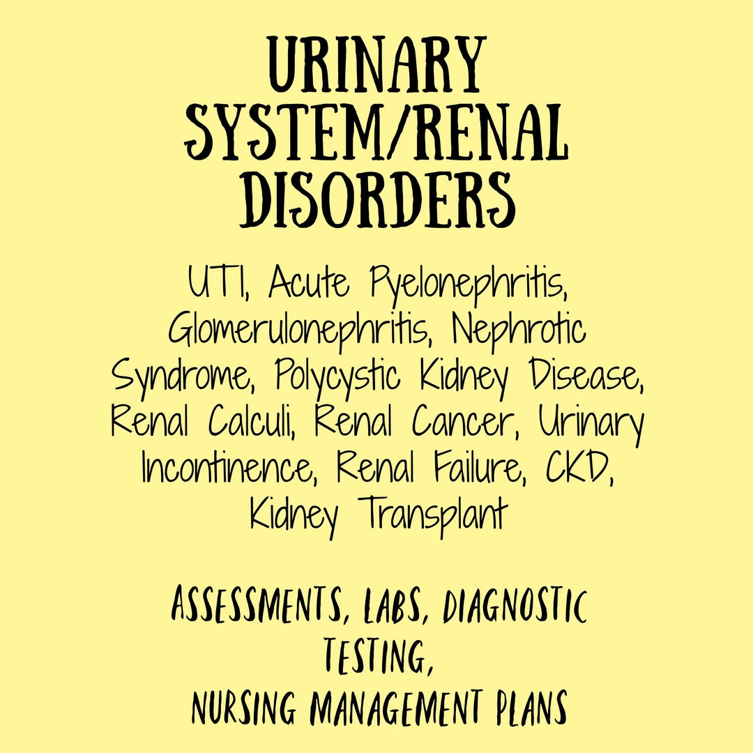 Urinary Disorders Notes/renal System Notes/kidney Nursing Notes/nclex ...