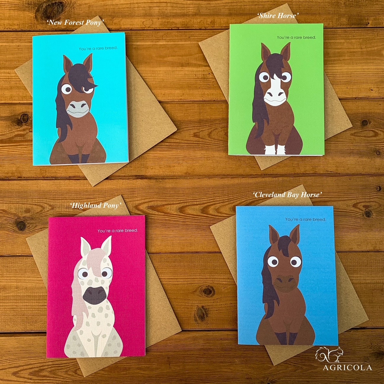 Rare Breed Horse and Pony Greeting Cards / Horse Cards / Pony Cards ...
