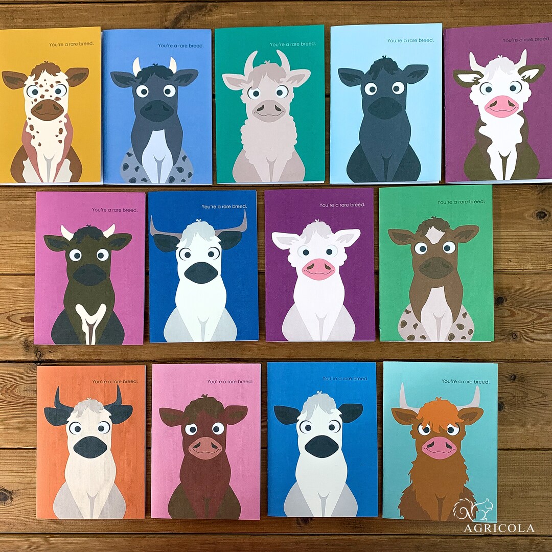 Rare Breed Cattle Greeting Cards / Cow Cards / Birthday / Thank You ...