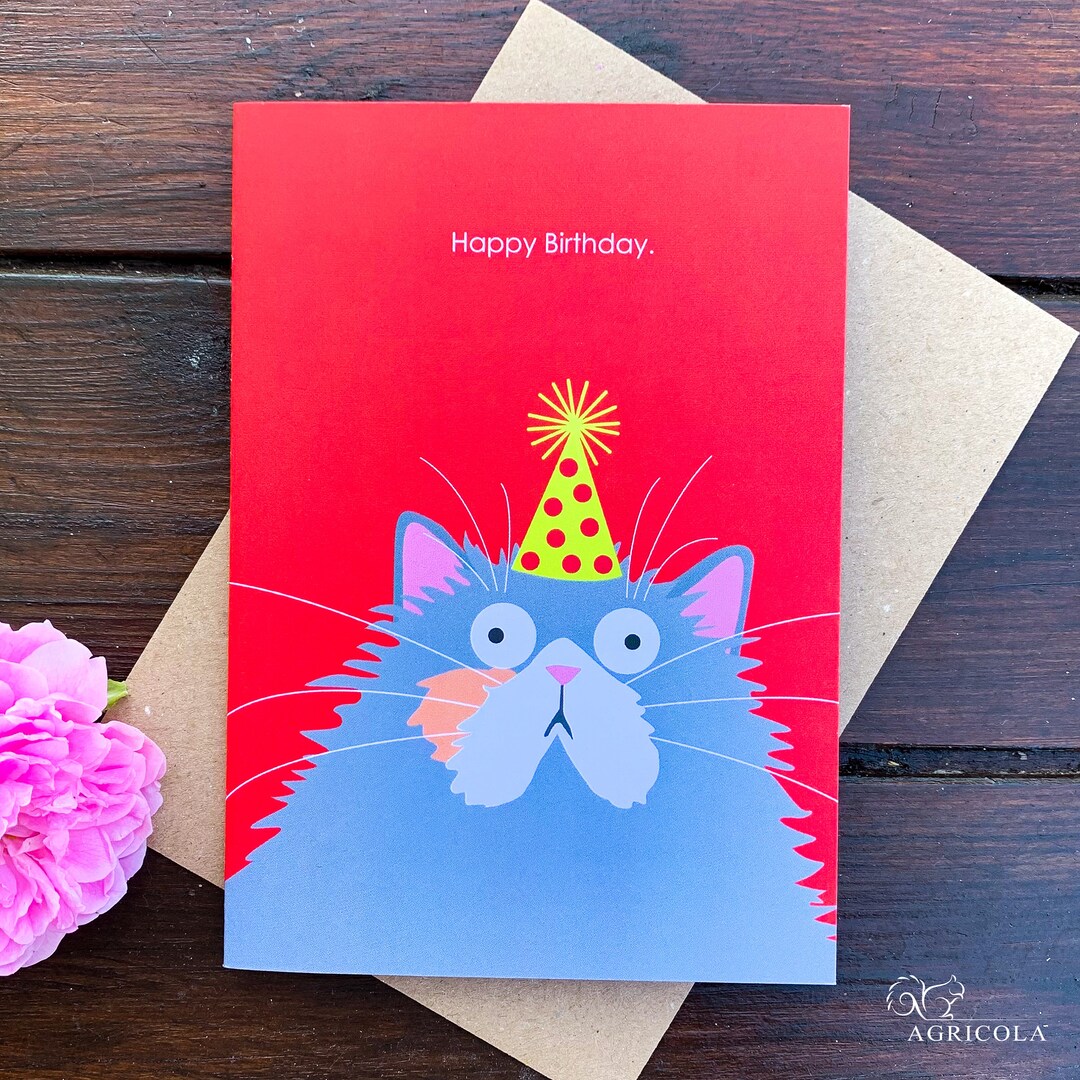 Confused Grey Cat Birthday Card / Greetings Card / Happy Birthday - Etsy