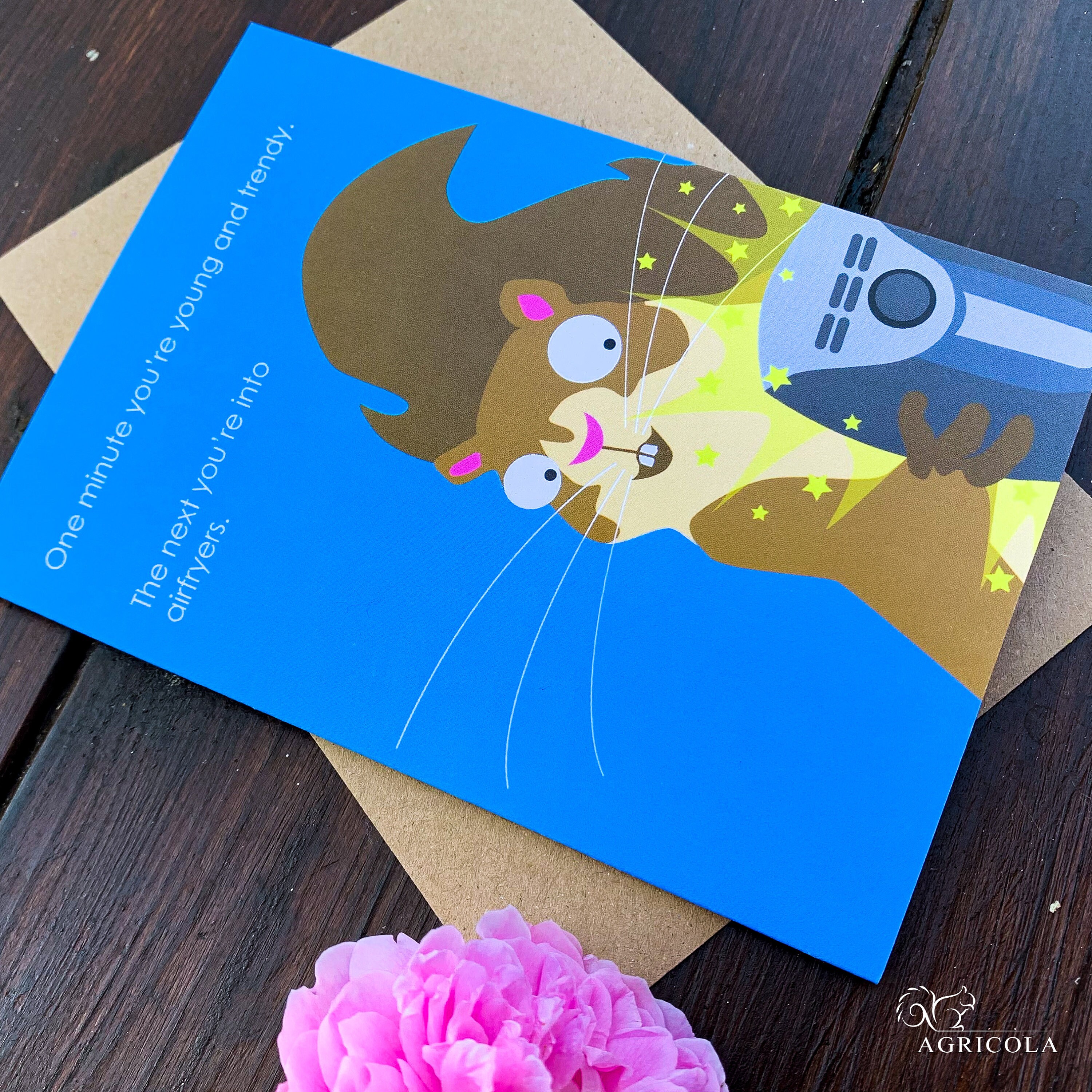 Airfryer Card / Funny Birthday Card / Dry Humour Card / Best Friend ...