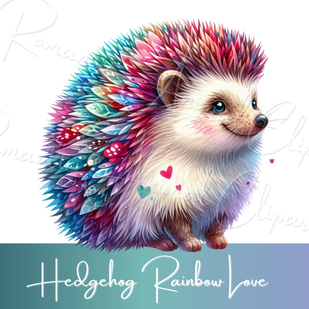 Whimsical Watercolour Rainbow Hedgehog Valentine's Clipart - Etsy