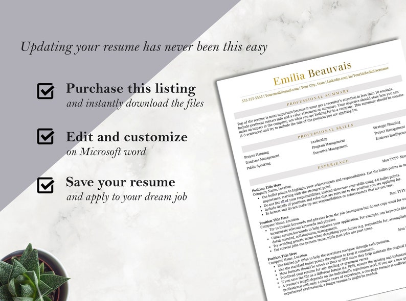 Professional Resume Template Word Resume Templates Simple Clean Resume ...