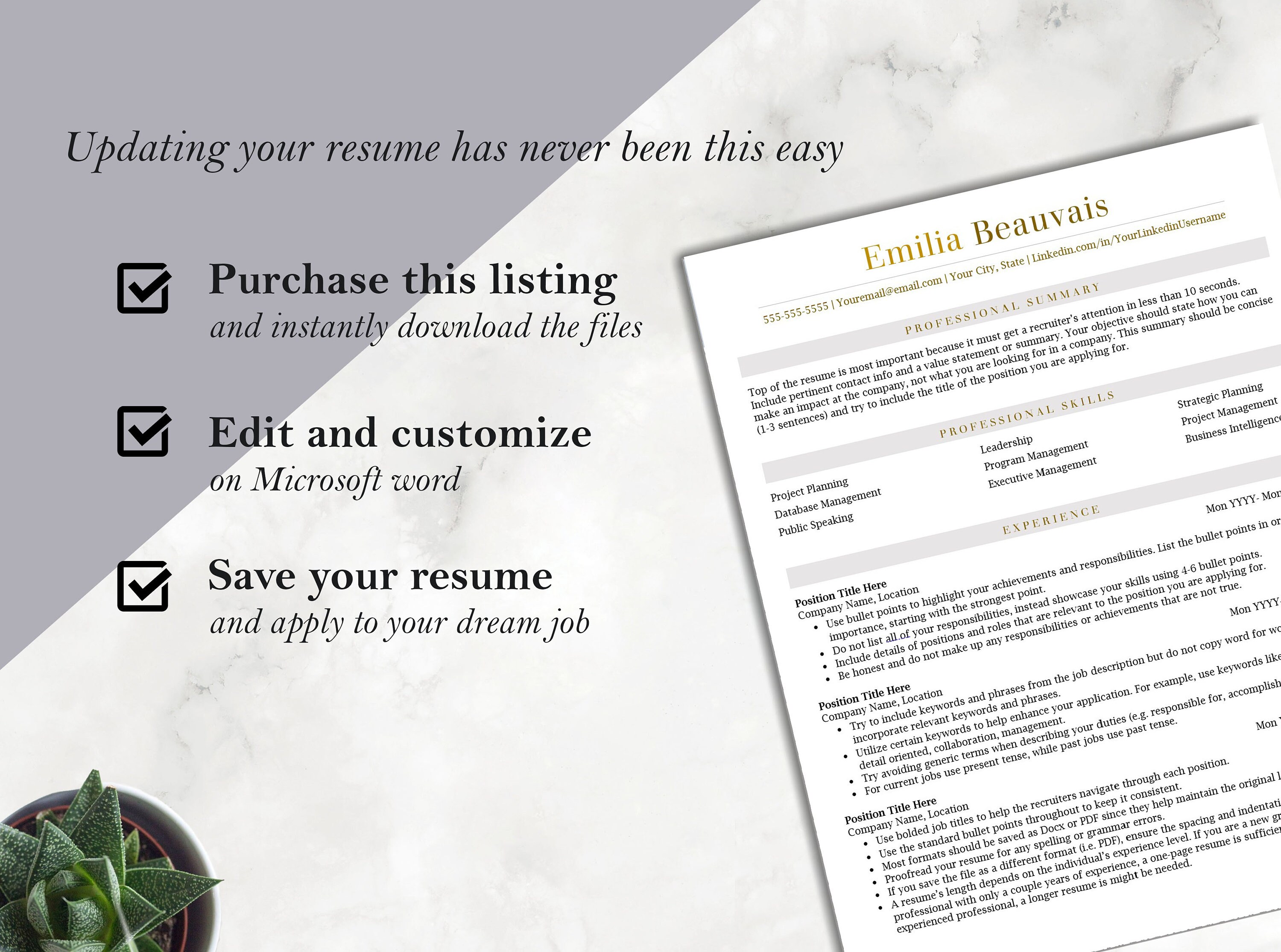 Professional Resume Template Word Resume Templates Simple Clean Resume ...