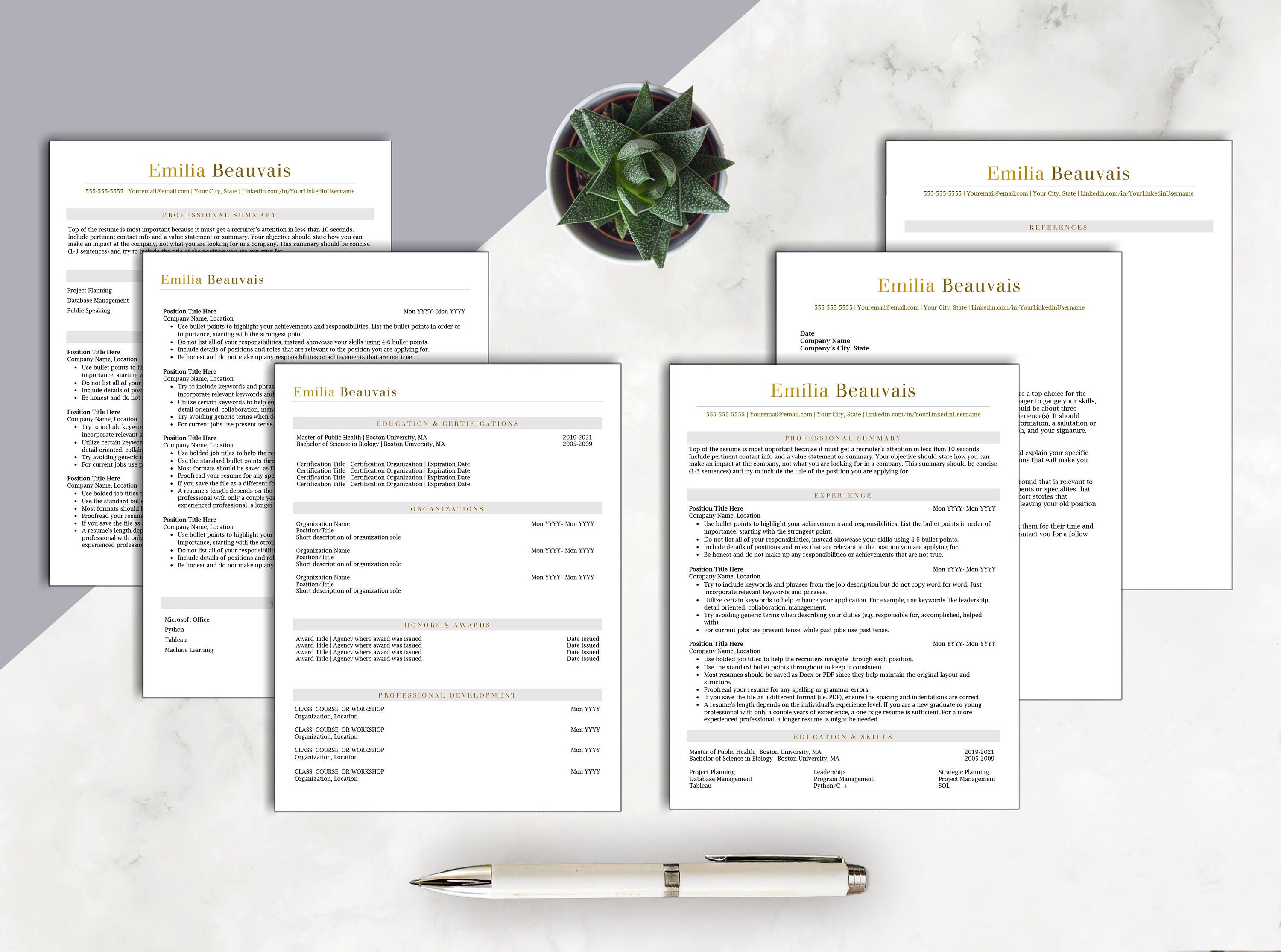 Professional Resume Template Word Resume Templates Simple Clean Resume ...