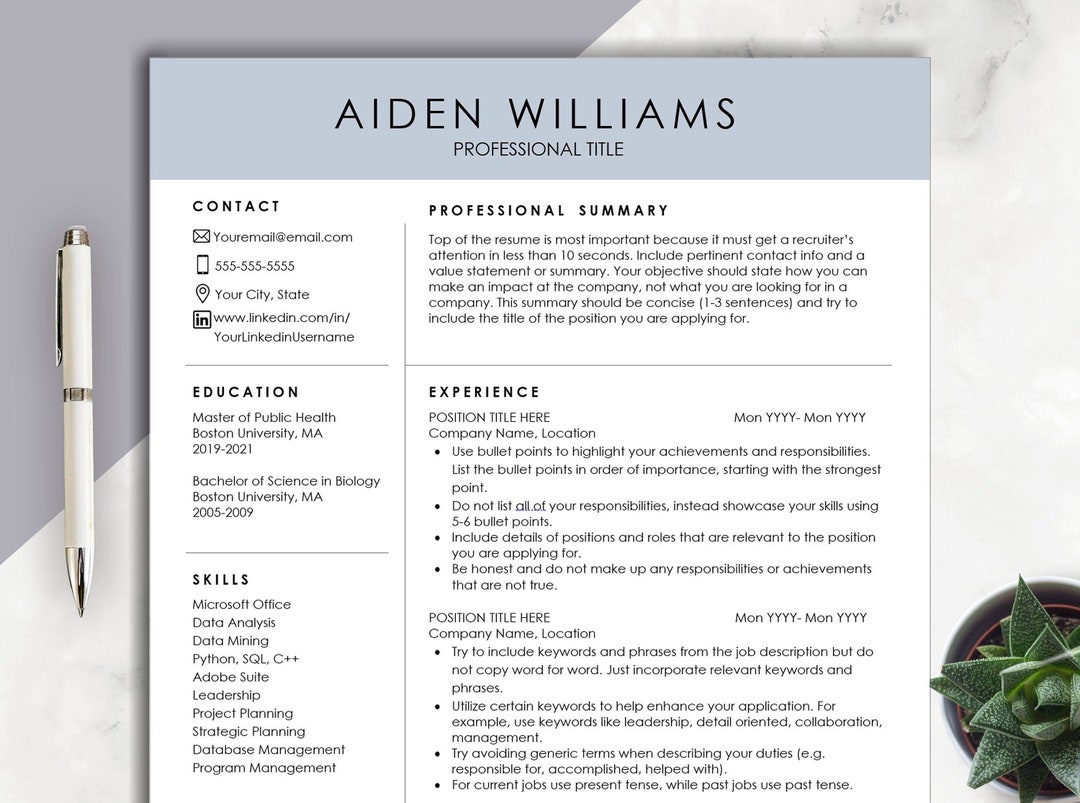 CV Template for Word & Google Docs Simple Word Resume Template Google ...