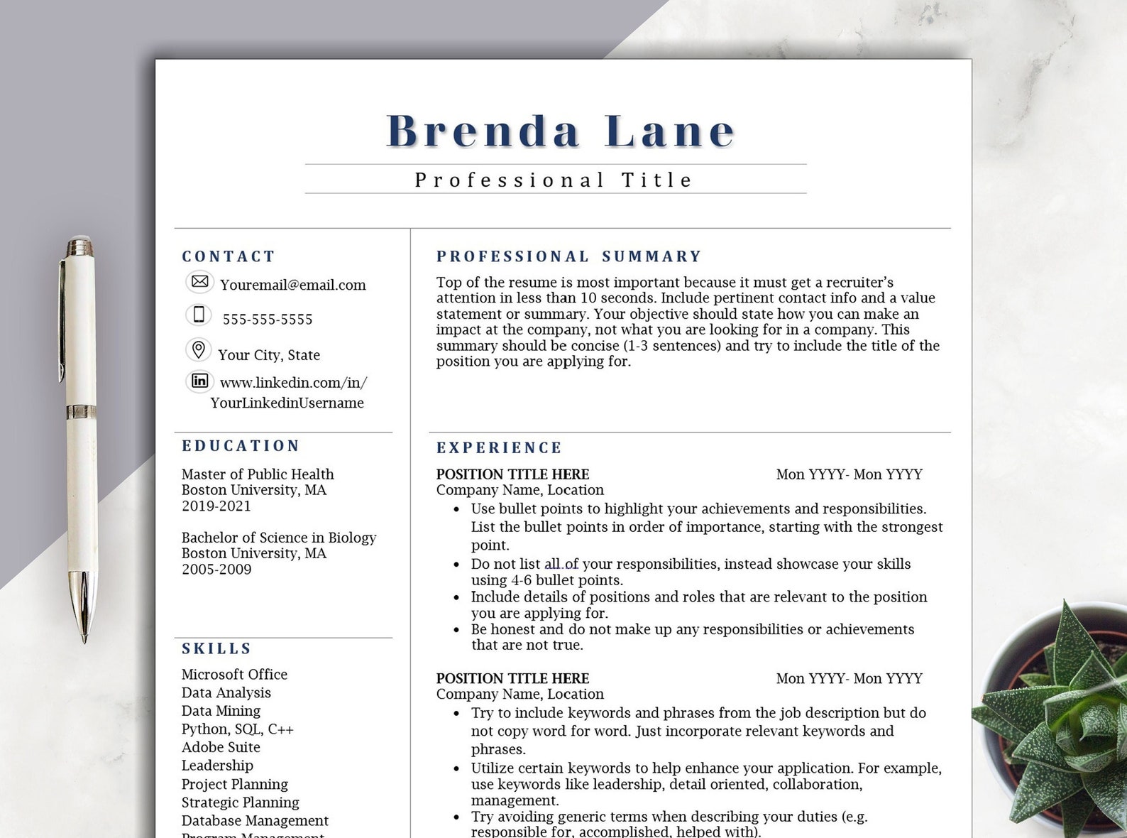Resume Template for MS Word, Simple Resume Template, Professional ...