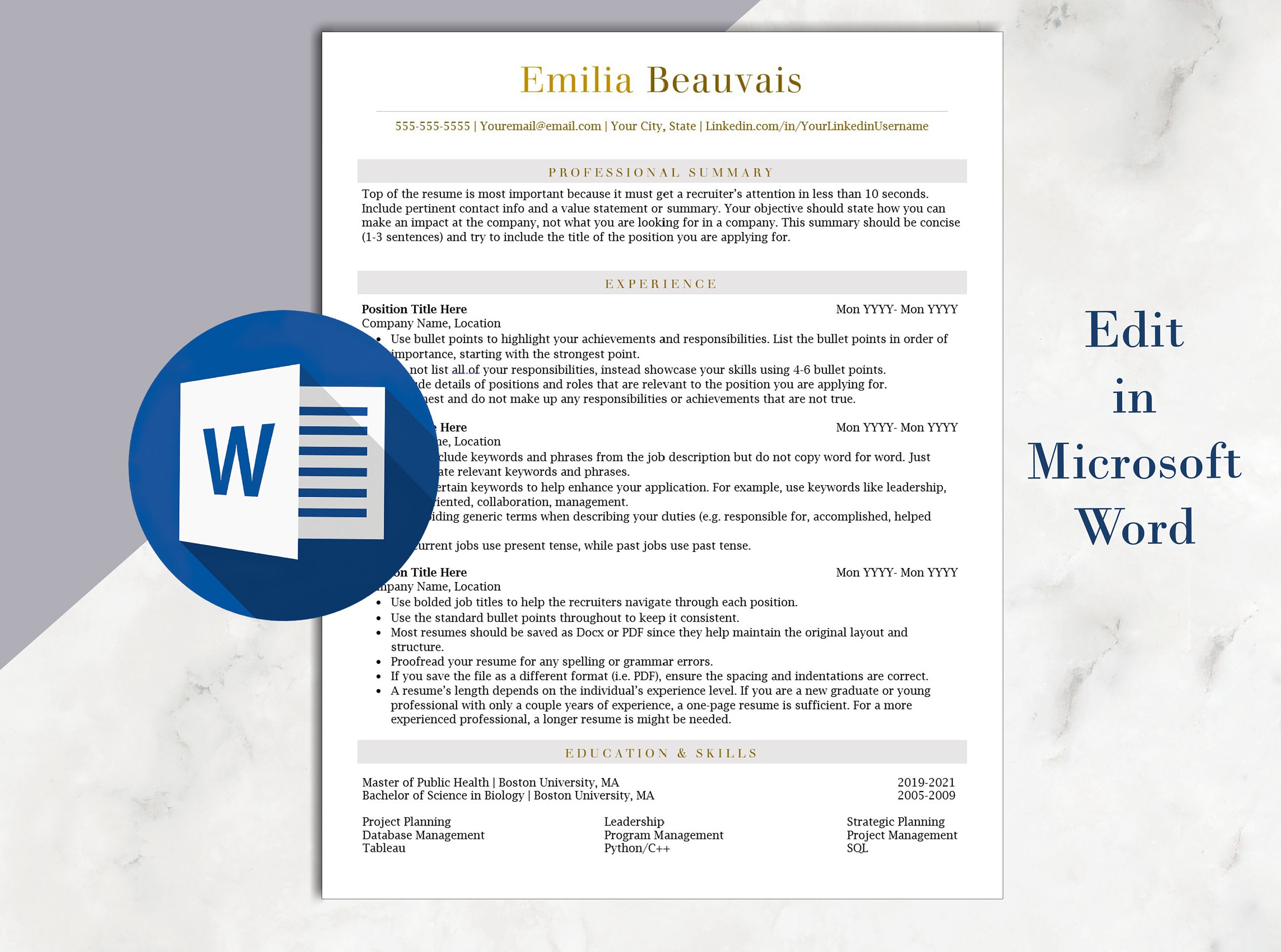 Professional Resume Template Word Resume Templates Simple Clean Resume ...