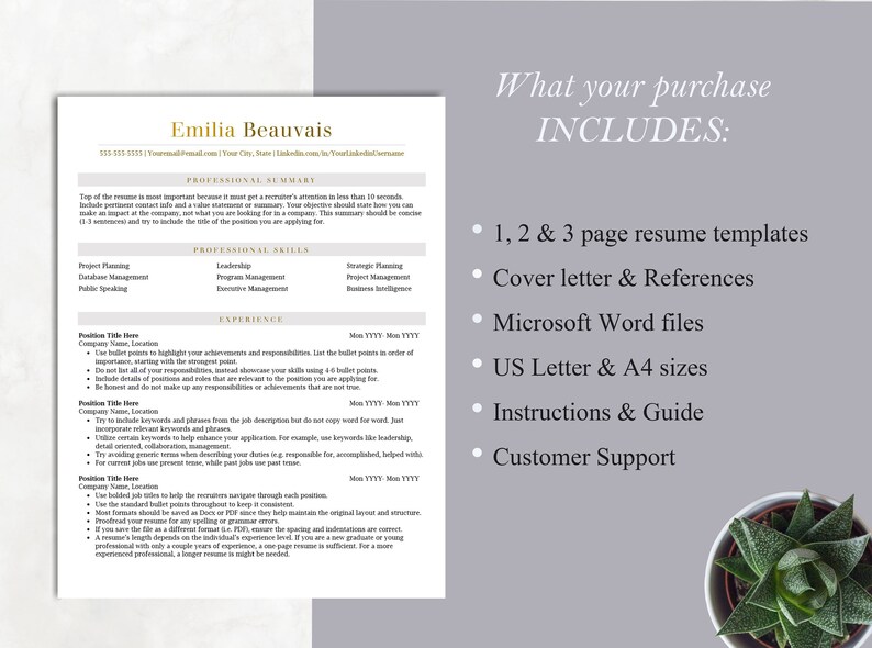 Professional Resume Template Word Resume Templates Simple Clean Resume ...
