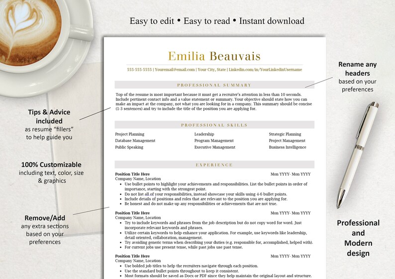 Professional Resume Template Word Resume Templates Simple Clean Resume ...