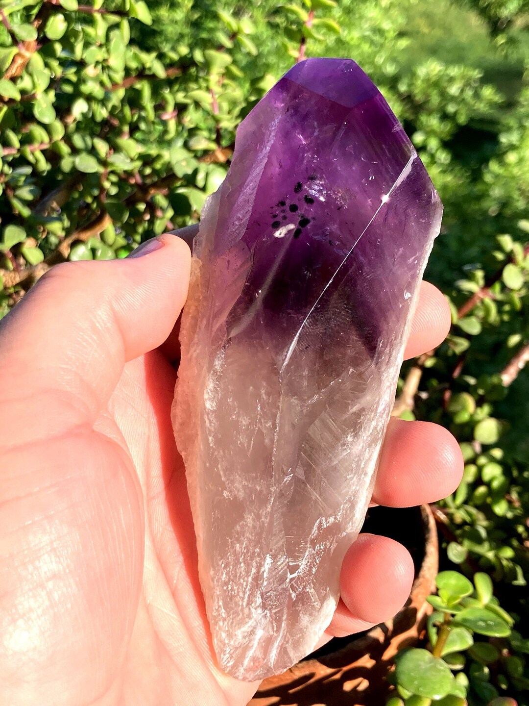 Natural Bahia Amethyst Crystal Wand: Dragon Tooth Scepter, Ethically ...