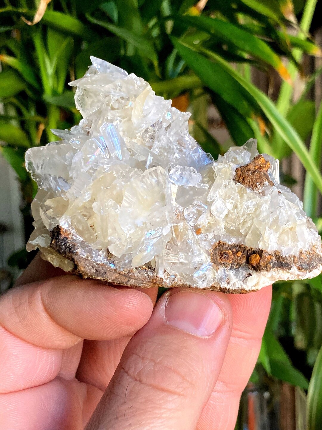 Mouse Ear Calcite on Matrix. Raw Free Form From Mexico. Ethically and ...