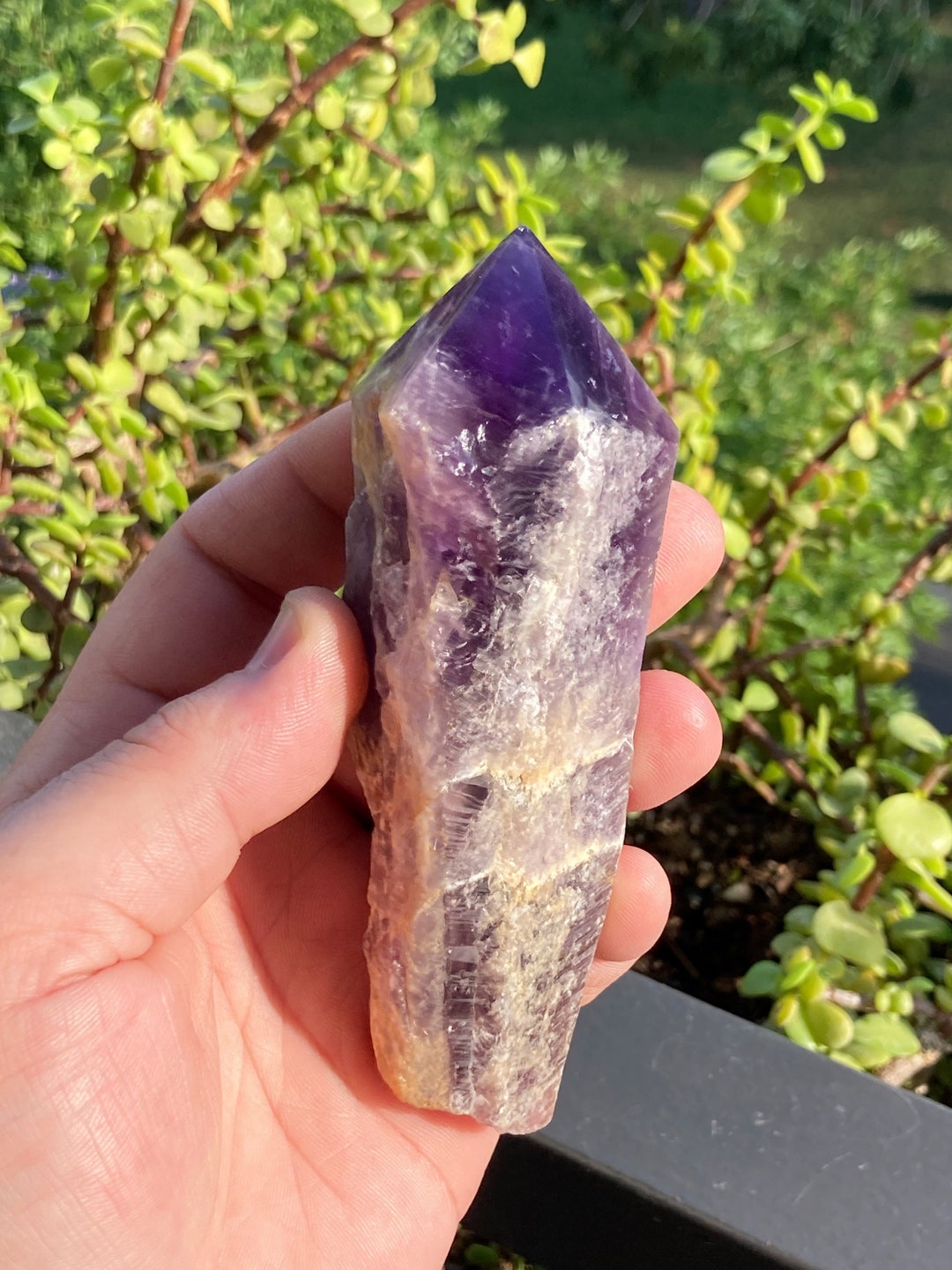 Natural Amethyst Bahia Root / Dragon Tooth Scepter Wand Brilliant Color ...
