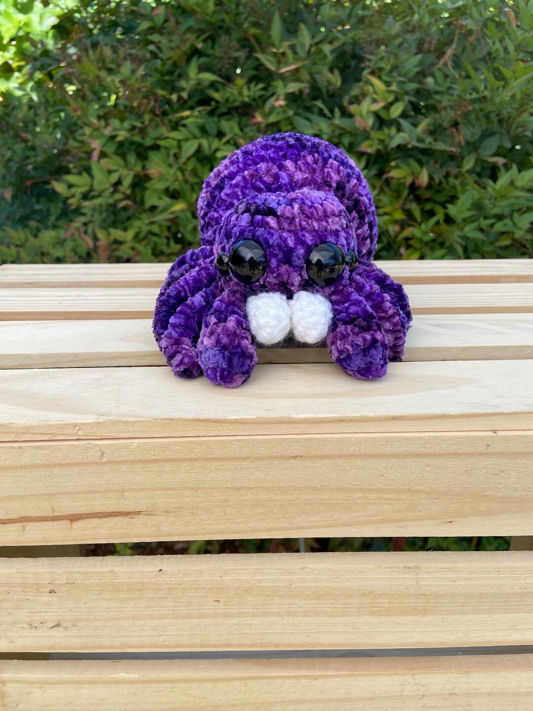 Crochet Jumping Spider Lucas the Spider Purple Velvet Spider - Etsy