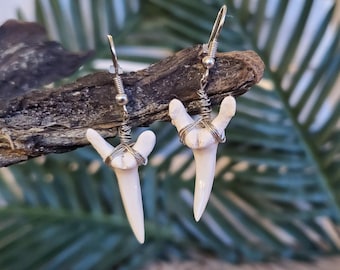 Wire Wrapped Shark Tooth - Etsy