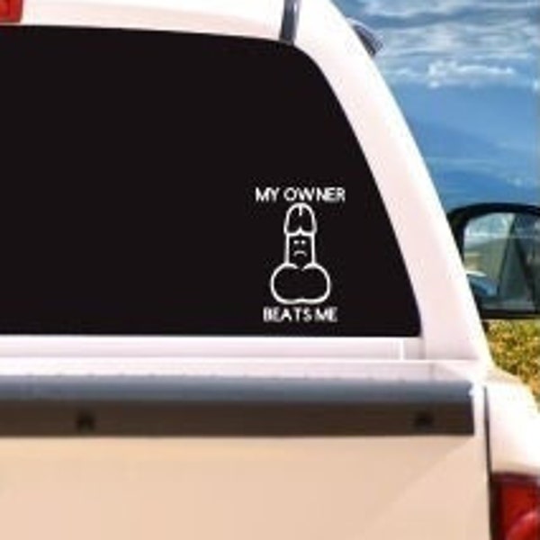 My Owner Beats Me Svg Etsy