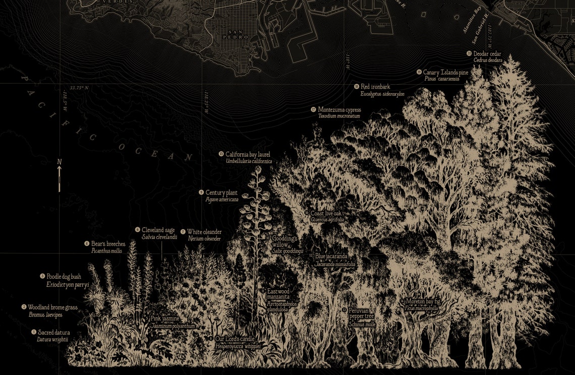 Los Angeles Vegetation Illuminated Map California Wall Map Map Art ...