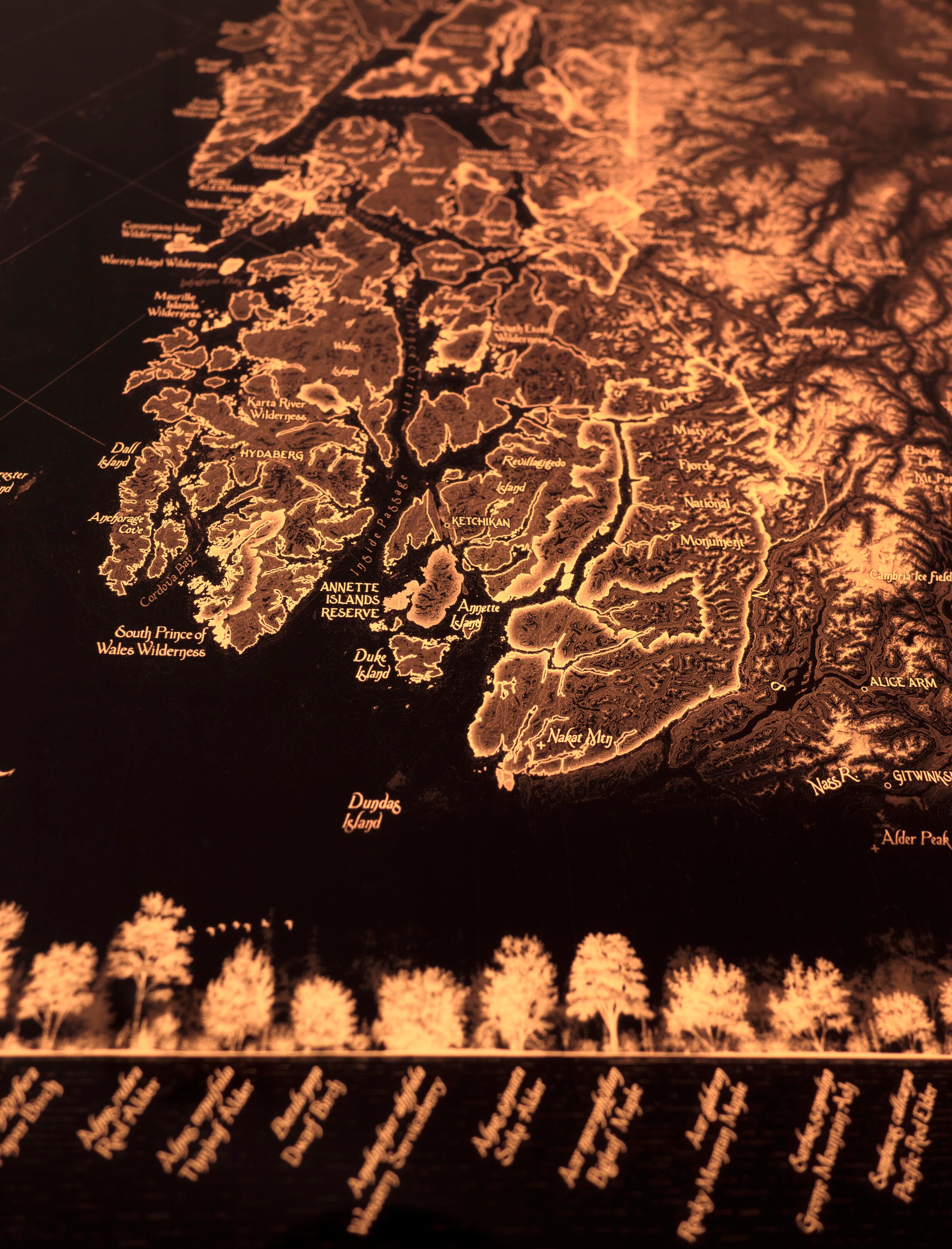 Tongass National Forest Illuminated Map Alaska Wall Map - Etsy