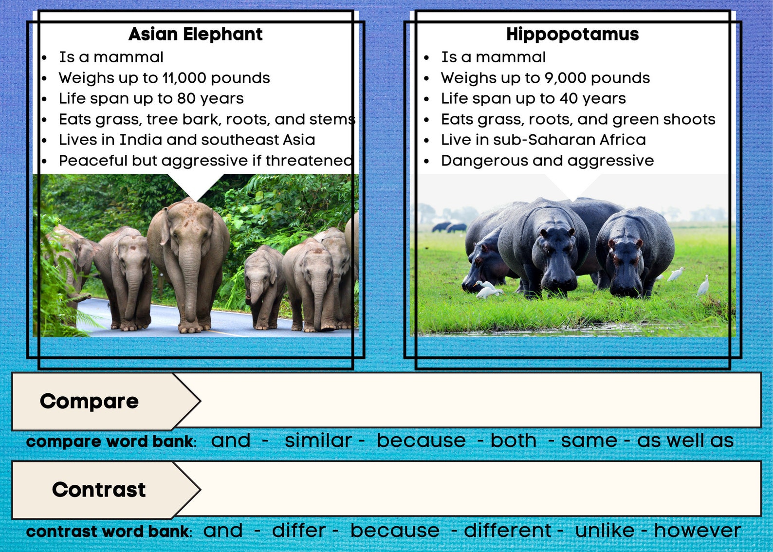 Compare and Contrast Animals Sentence Writing Boom Cards - Etsy