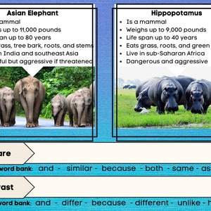 Compare and Contrast Animals Sentence Writing Boom Cards - Etsy