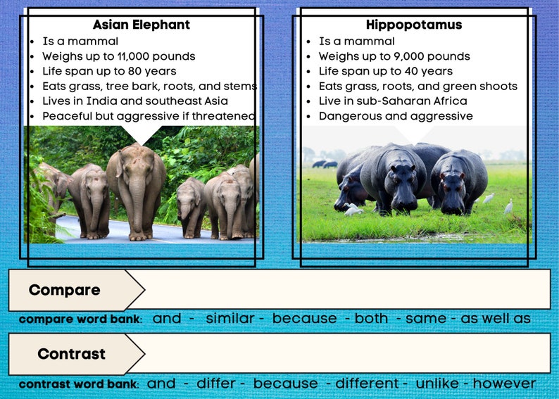 Compare and Contrast Animals Sentence Writing Boom Cards - Etsy