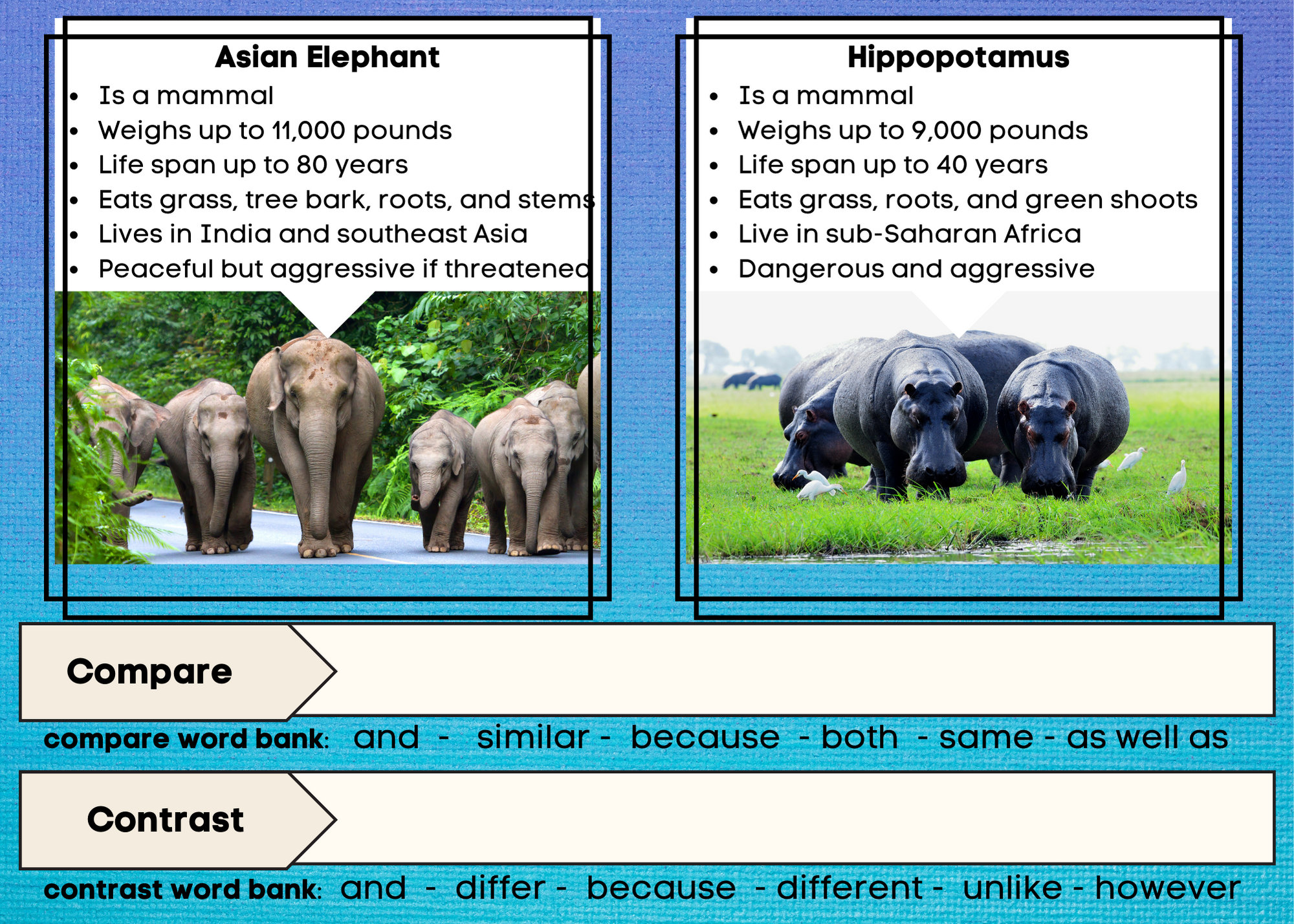 Compare and Contrast Animals Sentence Writing Boom Cards - Etsy