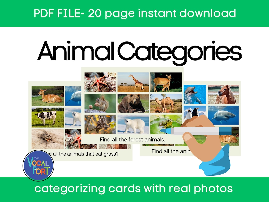 Animal Categories Sorting PDF | Real Photo Categorization Worksheets ...