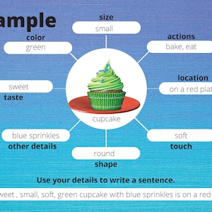 Printable Descriptive Writing Worksheets: Photo Word Webs (PDF Pattern ...