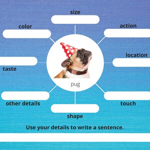 Printable Descriptive Writing Worksheets: Photo Word Webs (PDF Pattern ...