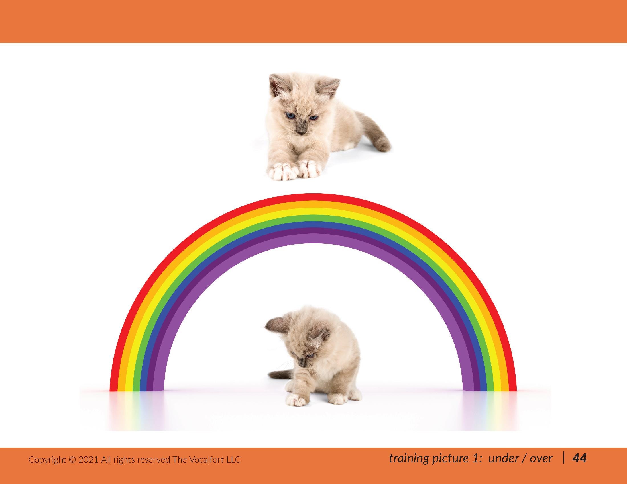 Spatial Concepts Speech Therapy Manual, Real Photo Language Book - Etsy